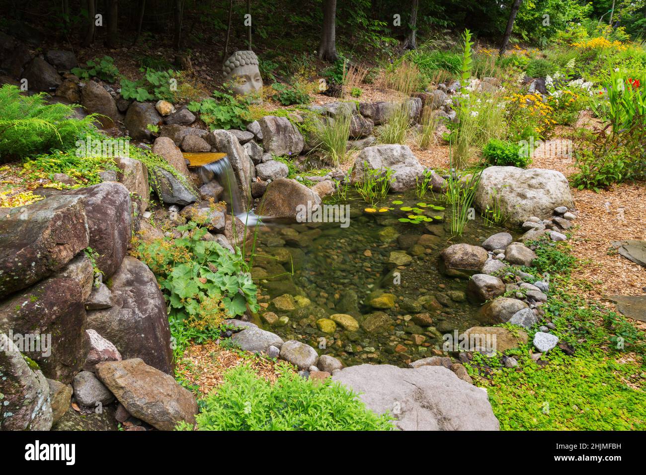 Pond with Acorus calamus ‘variegatus' - Variegated Sweet Flag ...