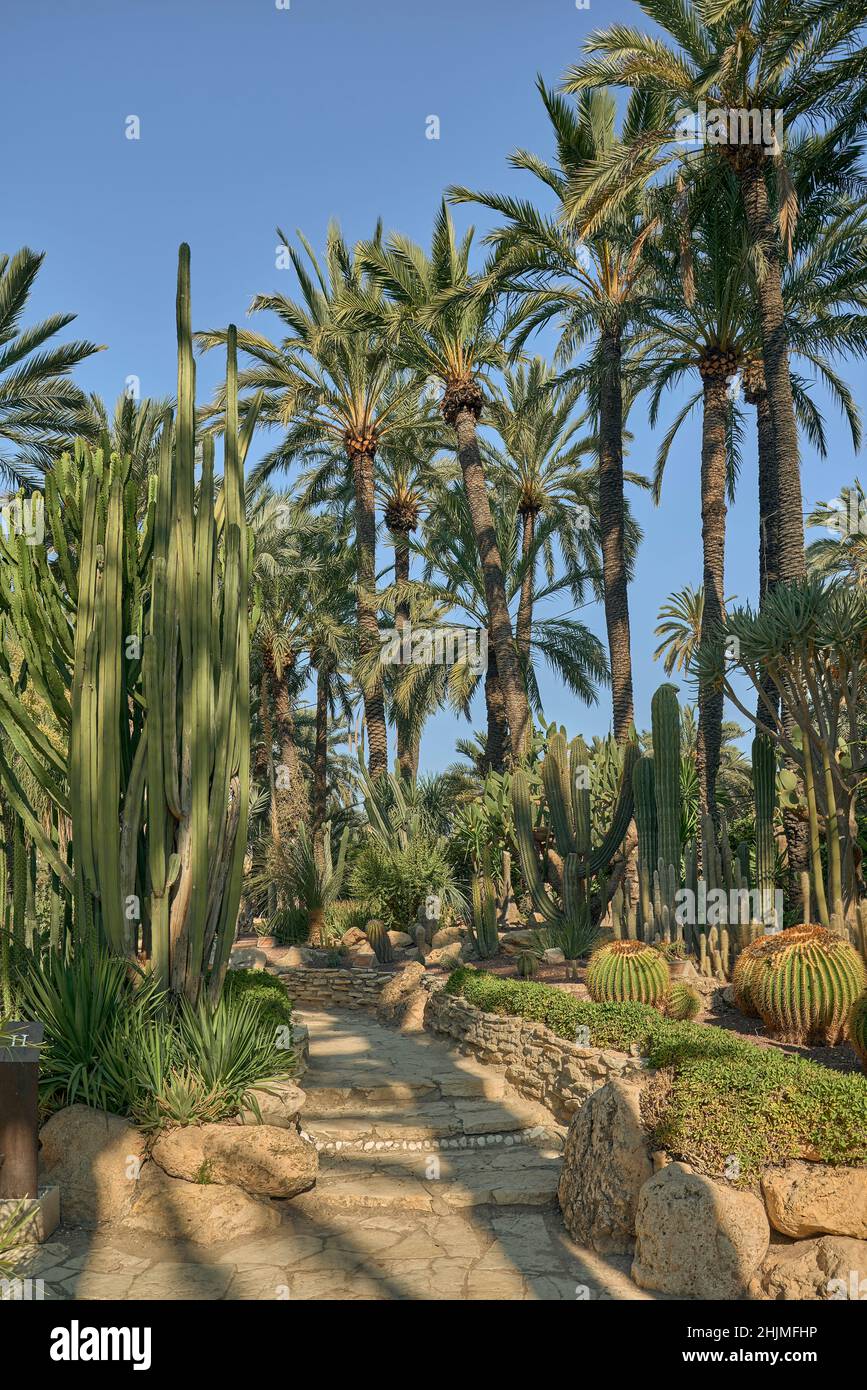 The Huerto del Cura Garden was declared a National Artistic Garden in ...