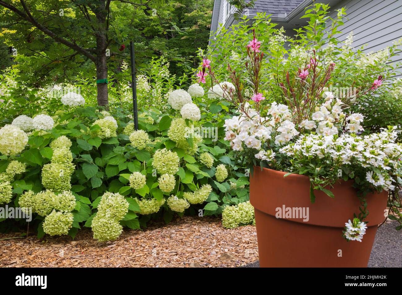 Back Yard Diva Planter Ideas 19+ Brilliant Upcycled Planter Ideas