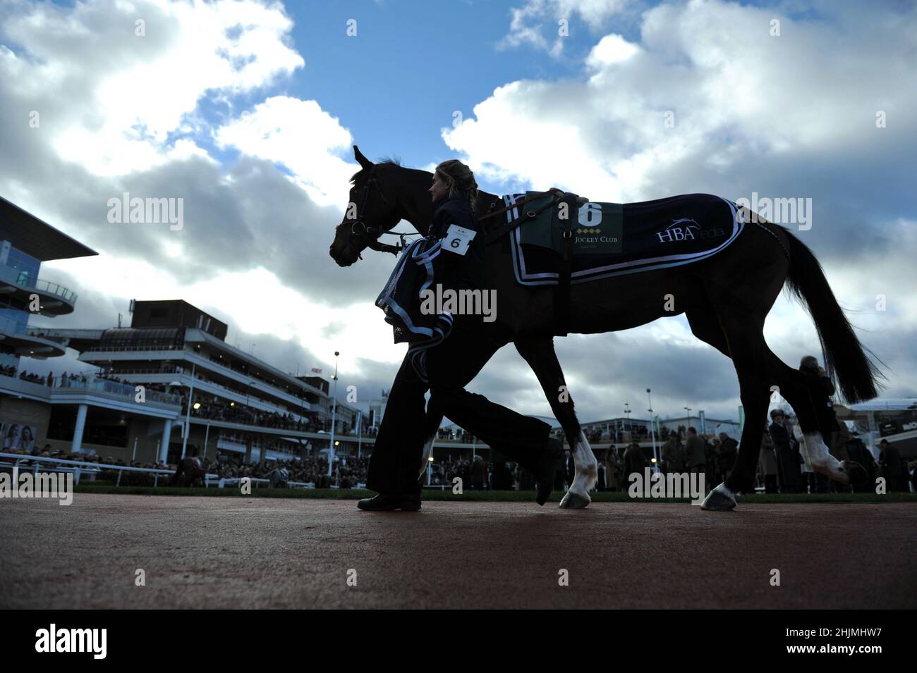 Racing horses parade ring hi-res stock photography and images - Alamy