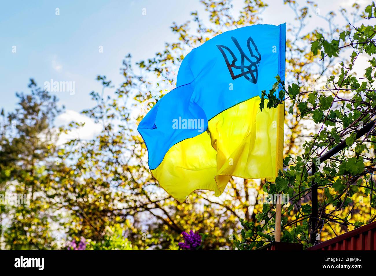 Flying ukrainian flag sun hi-res stock photography and images - Alamy