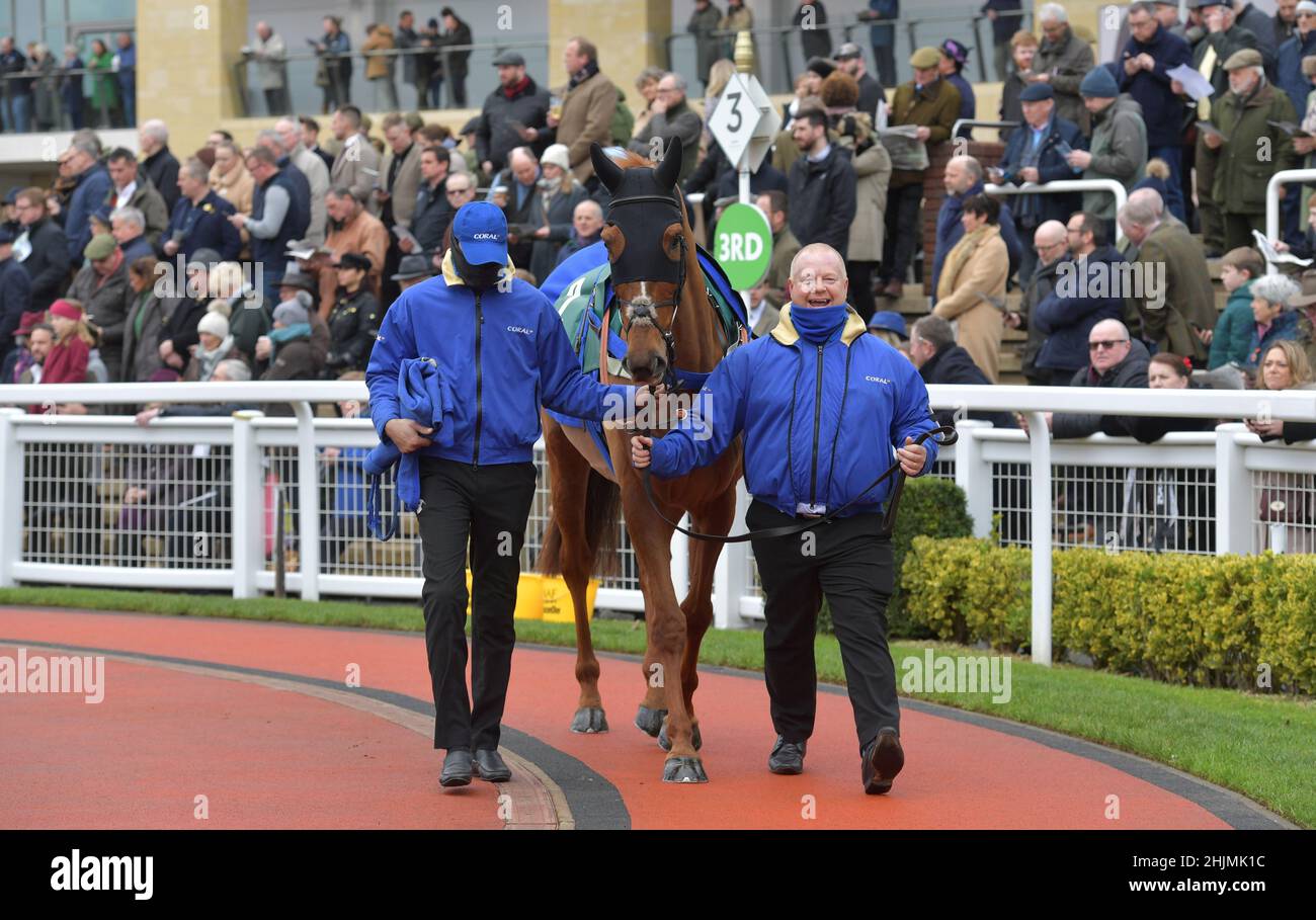 Racing horses parade ring hi-res stock photography and images - Alamy