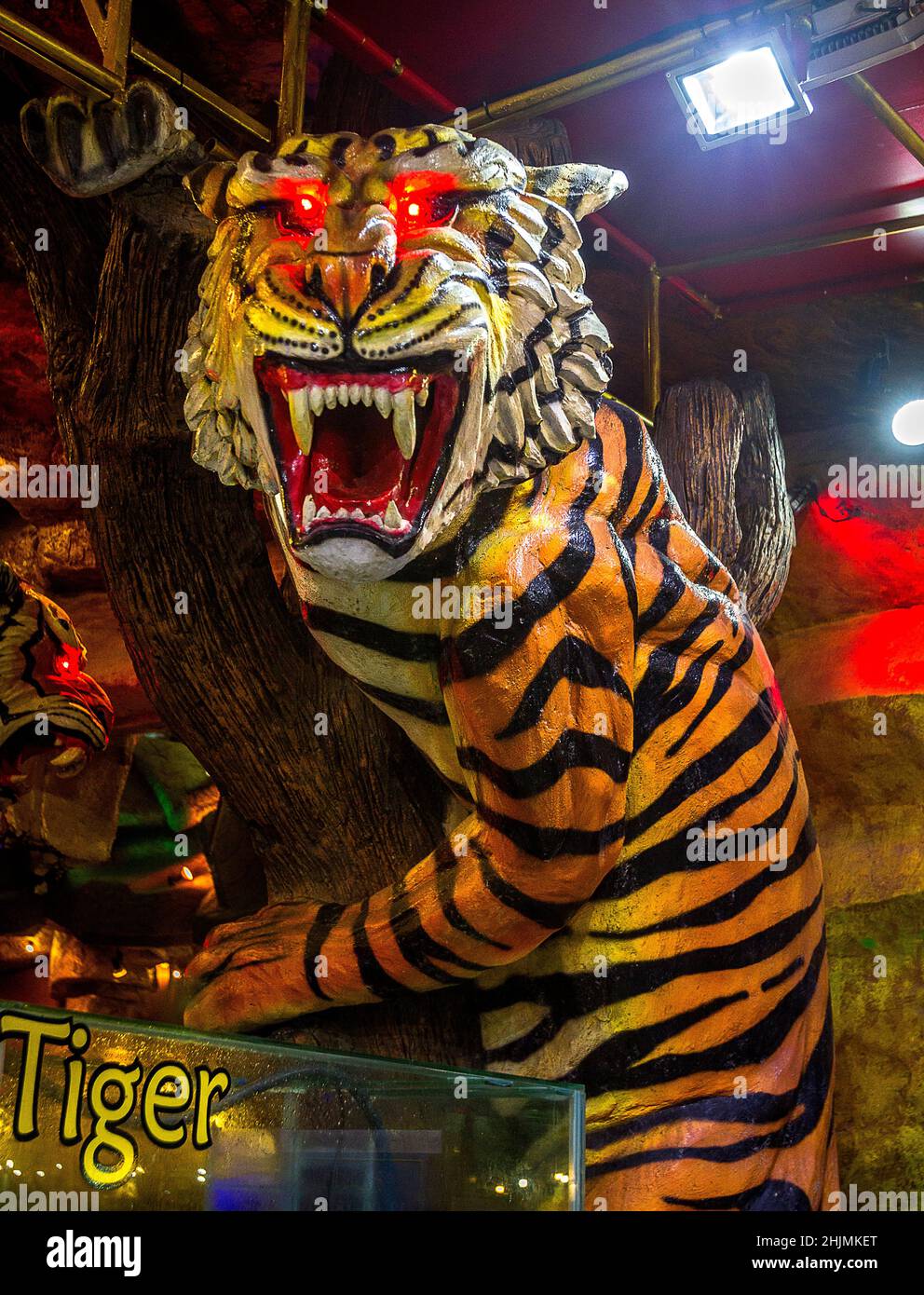Big tiger statue in a bar in Patong, Thailand and also year of the ...