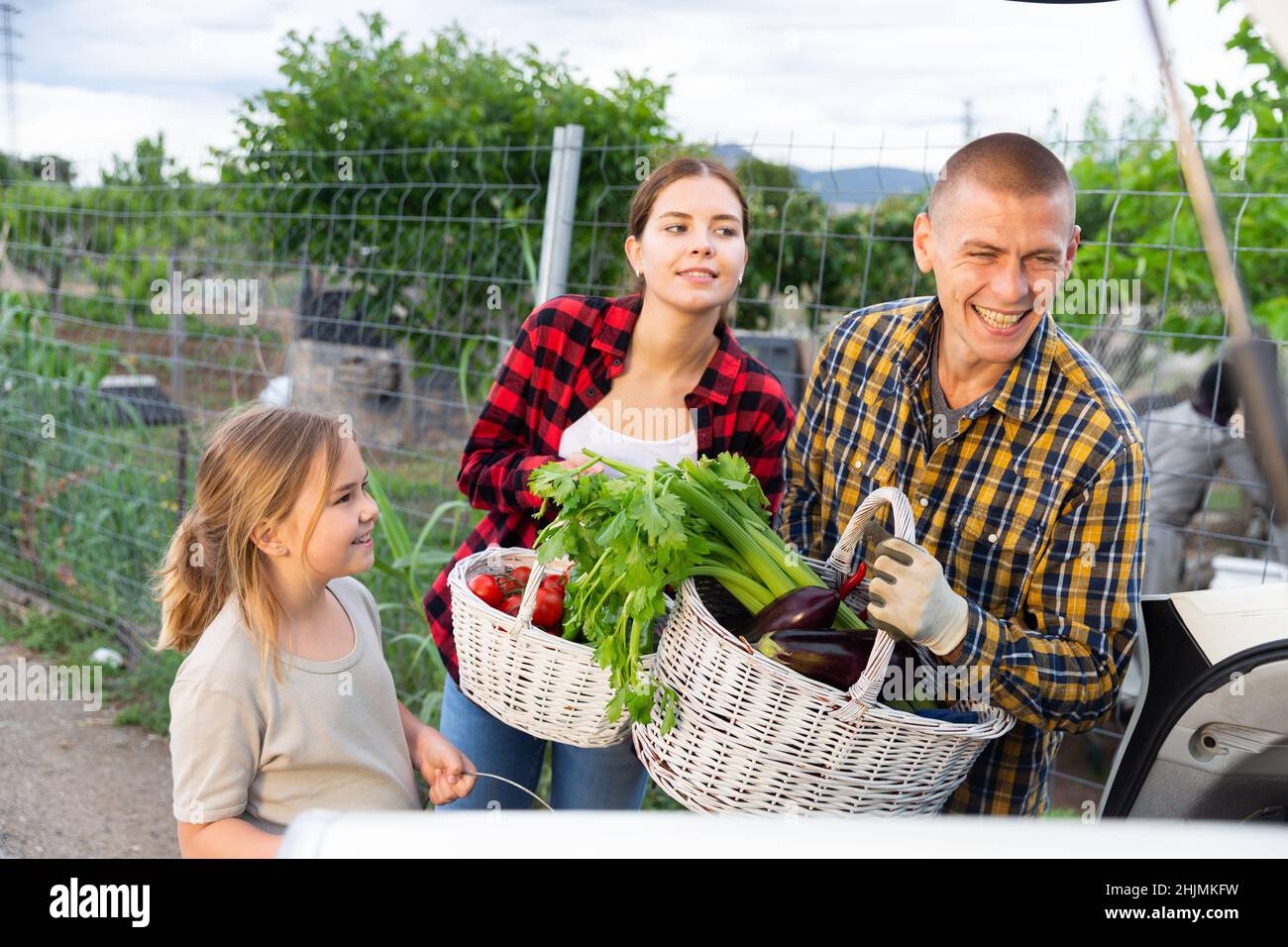 Farmer with family putting a baskets with vegetables into the car Stock ...