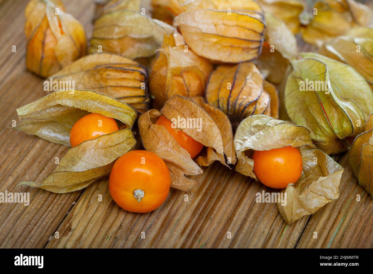 Physalis peruviana yellow, edible physalis species. Vegetarian dish ...