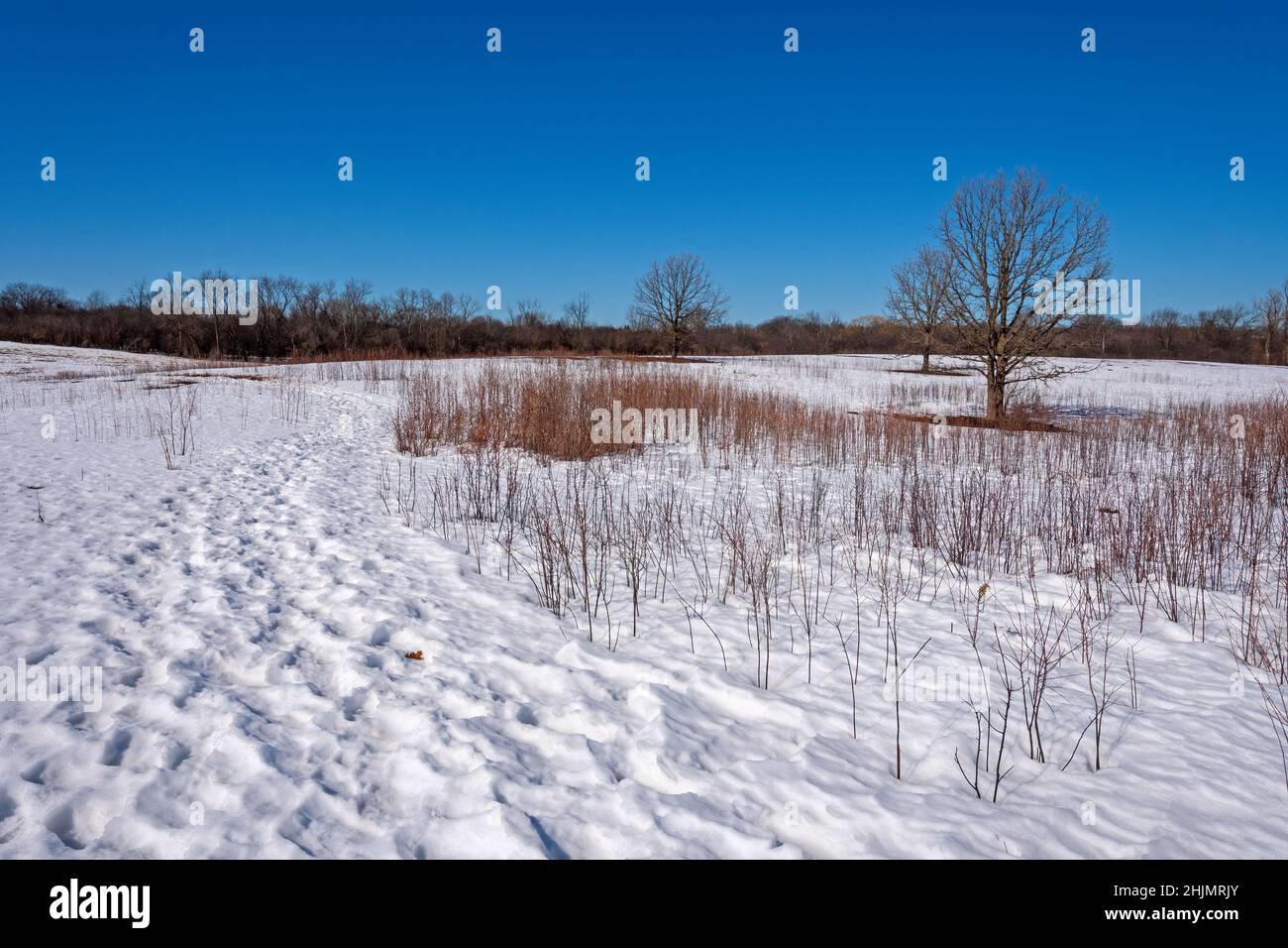 Snowy Path in a Frozen Prairie in Crabtree Nature Preserve in Illinois ...