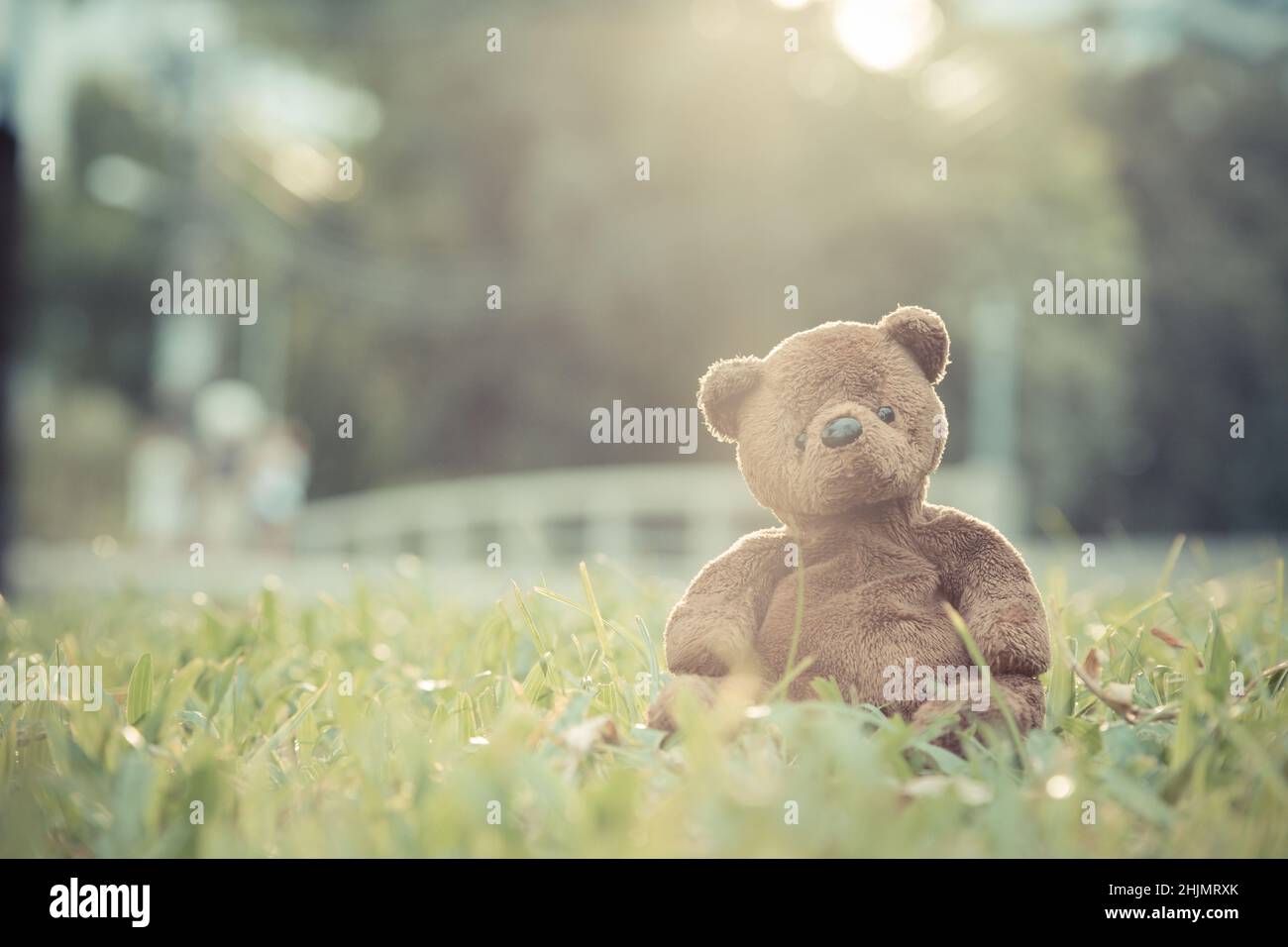 Brown bear doll sitting alone on the lawn background Stock Photo - Alamy