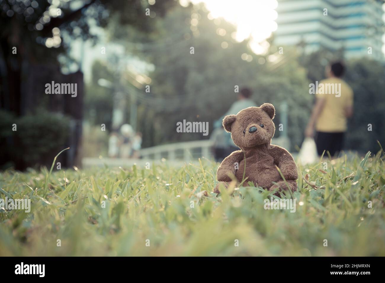 Brown bear doll sitting alone on the lawn background Stock Photo - Alamy