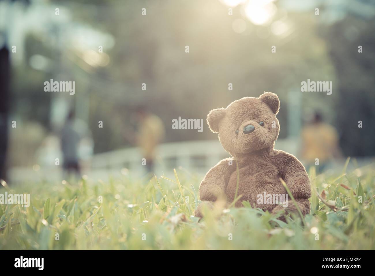 Brown bear doll sitting alone on the lawn background Stock Photo - Alamy