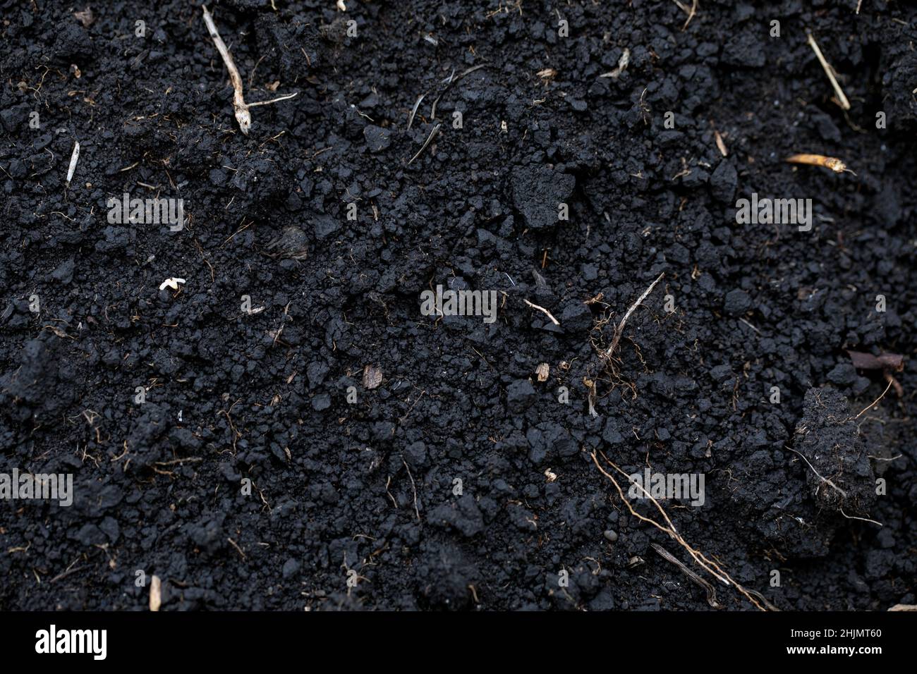 Loam soil hi-res stock photography and images - Alamy