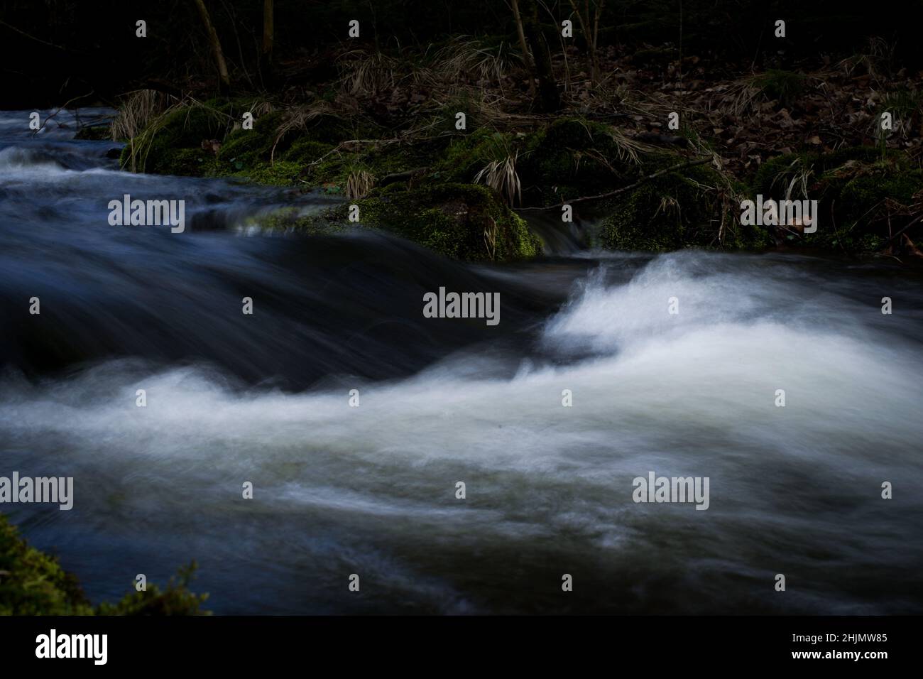 Closeup shot of water flowing downstream in a forest Stock Photo - Alamy