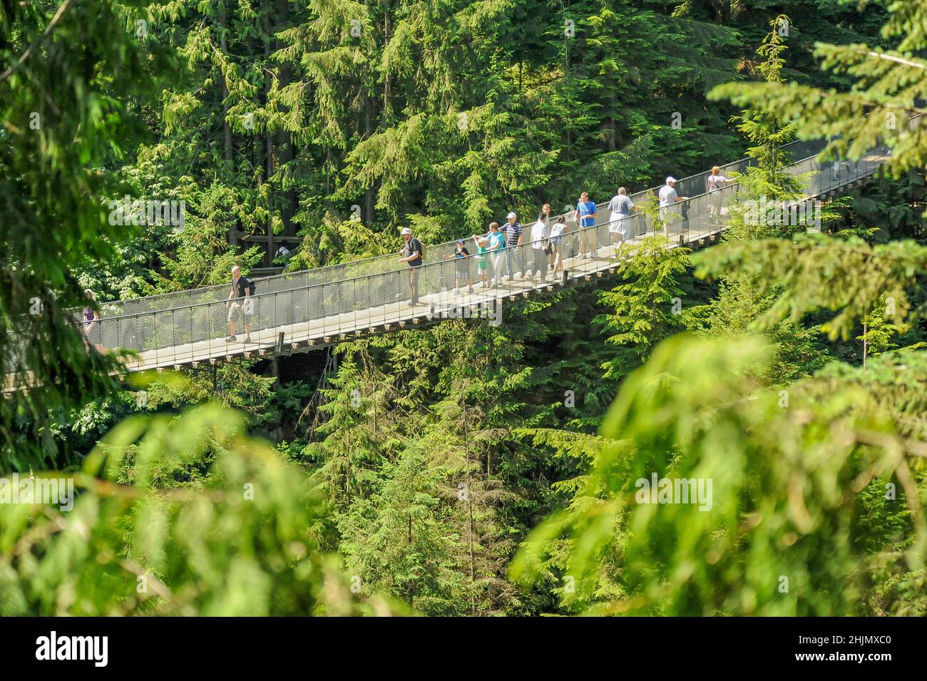 Simple suspension bridge hi-res stock photography and images - Alamy