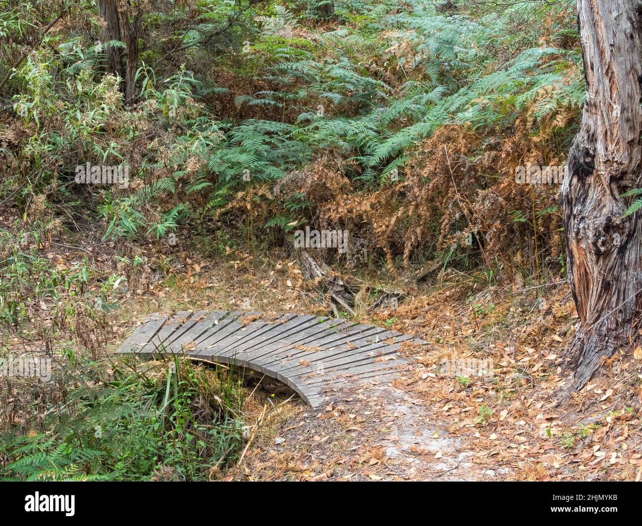 Boardwalk over a dry creek on the Great Ocean Walk - Princetown ...