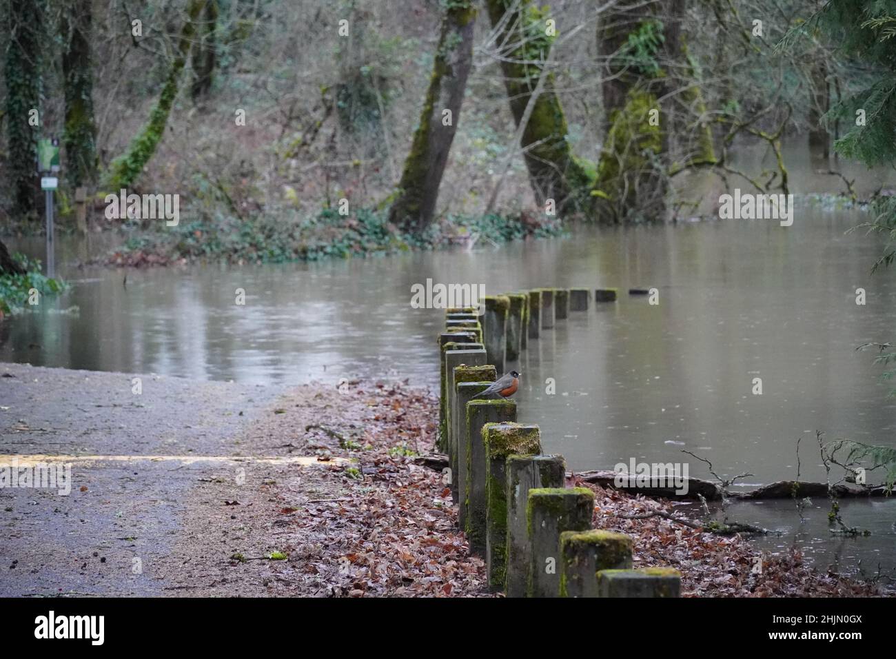 Mud in the bottom of a pond hi-res stock photography and images - Alamy