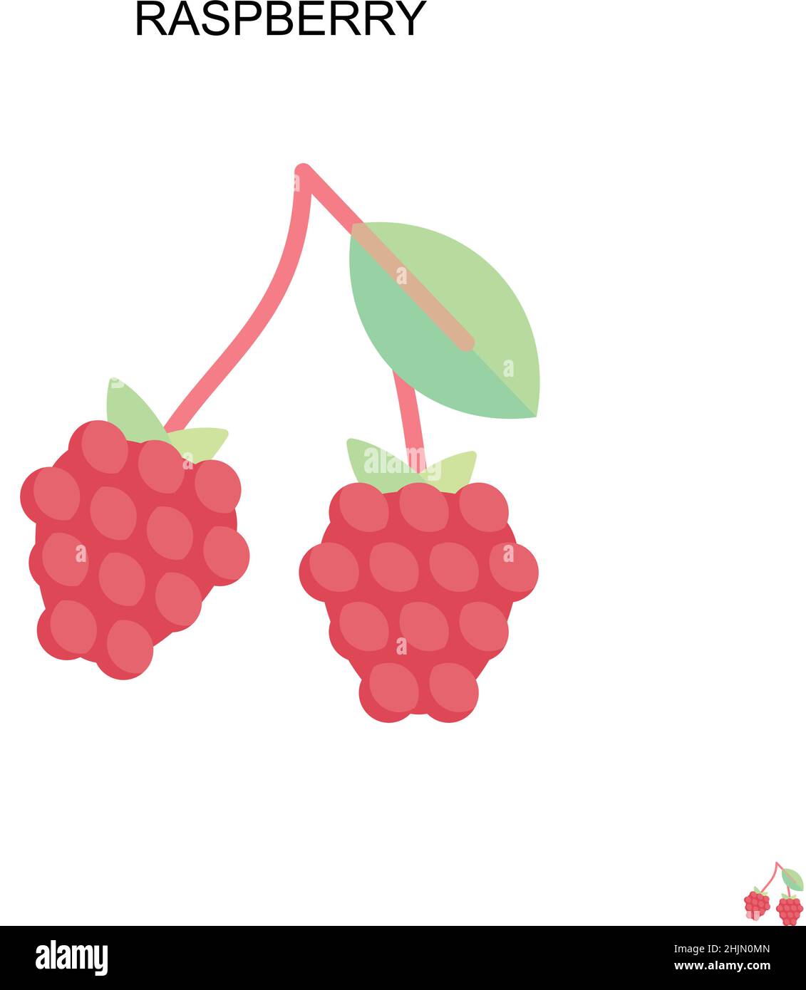 Raspberry Simple vector icon. Illustration symbol design template for ...