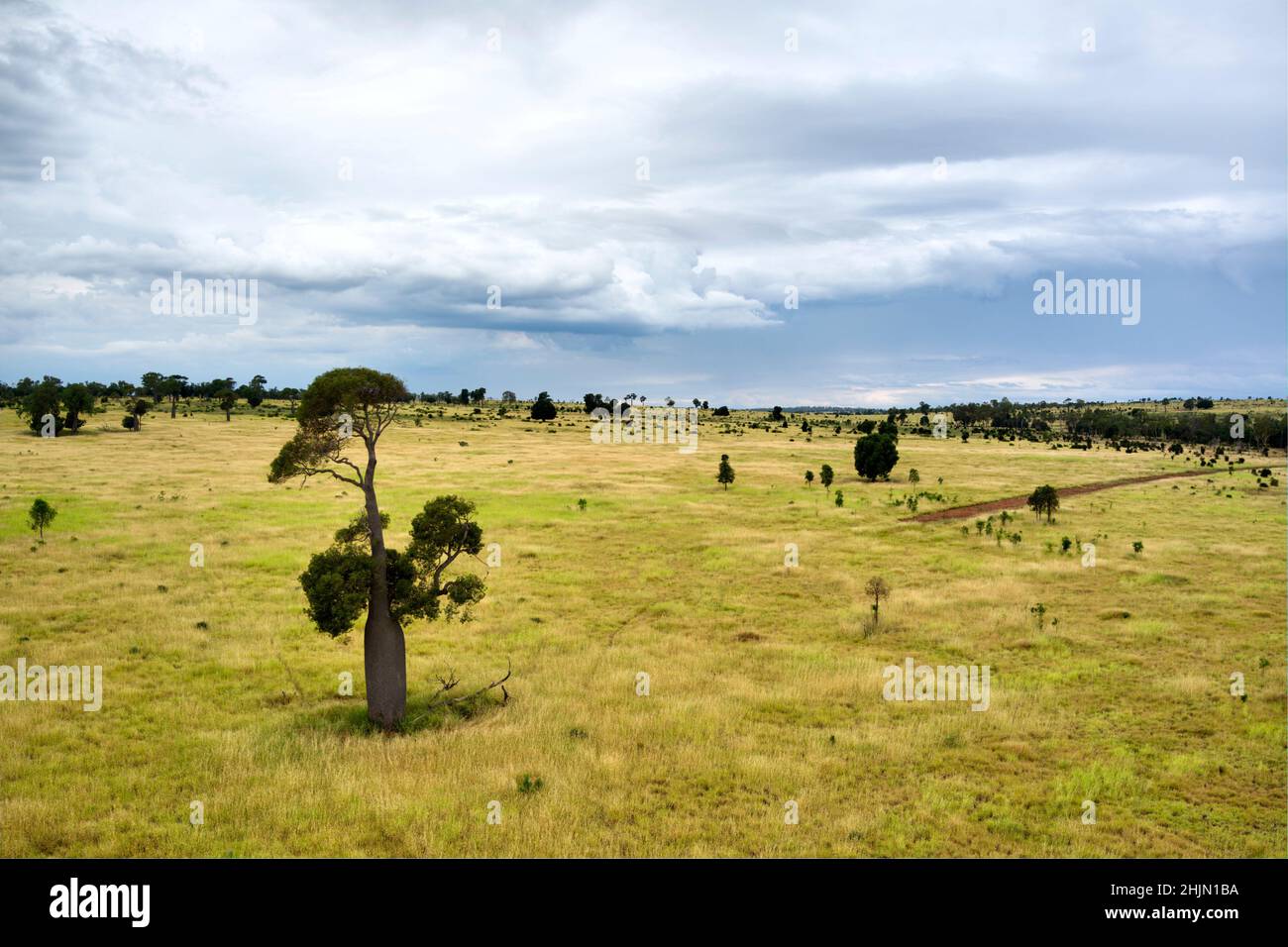 Théodore qld 4719 hi-res stock photography and images - Alamy