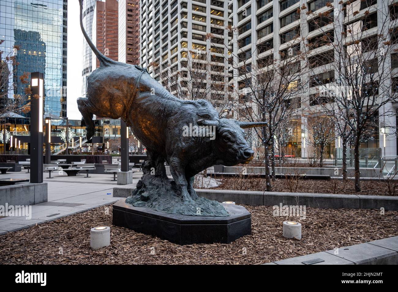 Calgary, Alberta - January 30, 2022: View of famous rodeo bull outside ...