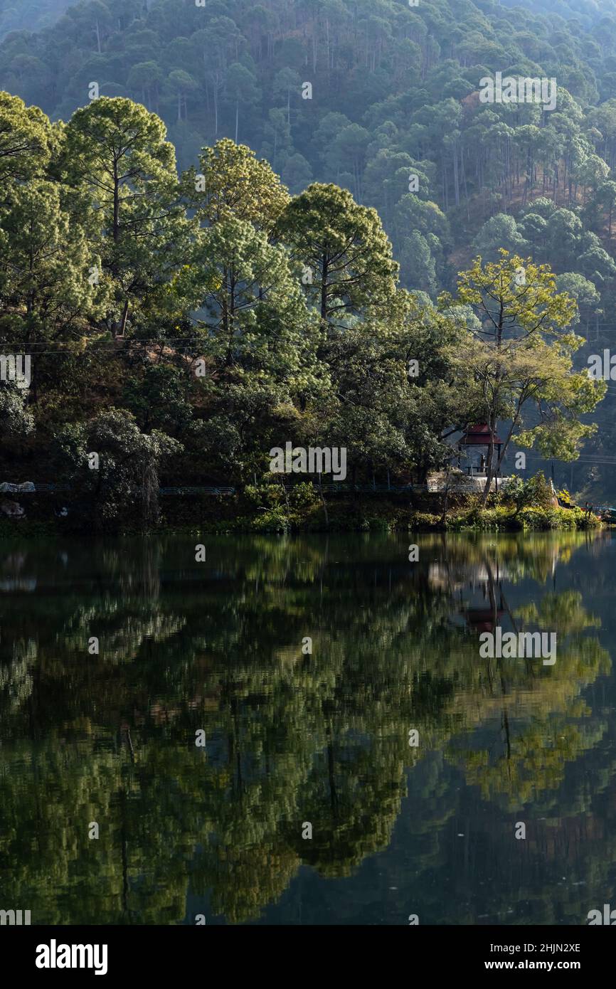 A view of sun rays falling on trees and its reflection on water Stock ...