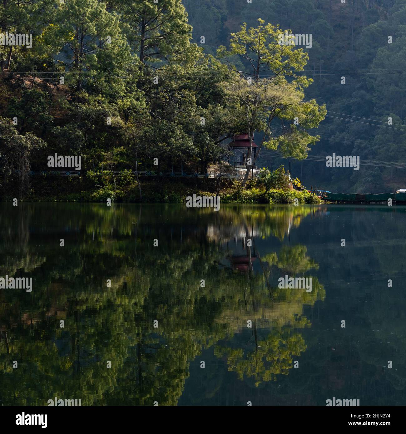 A view of sun rays falling on trees and its reflection on water Stock ...