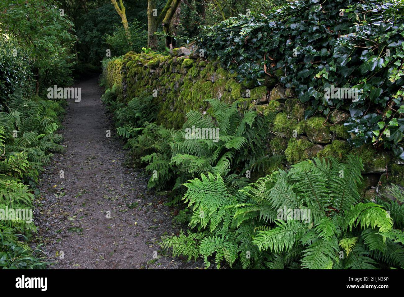 Natural view of a narrow pathway in a park Stock Photo - Alamy