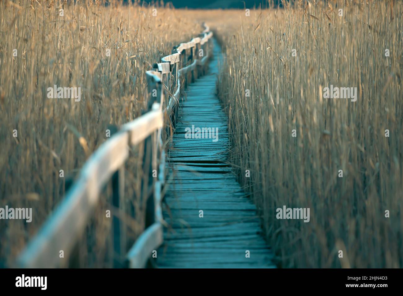 Old wooden boardwalk with a railing on the side and watchtower in the ...