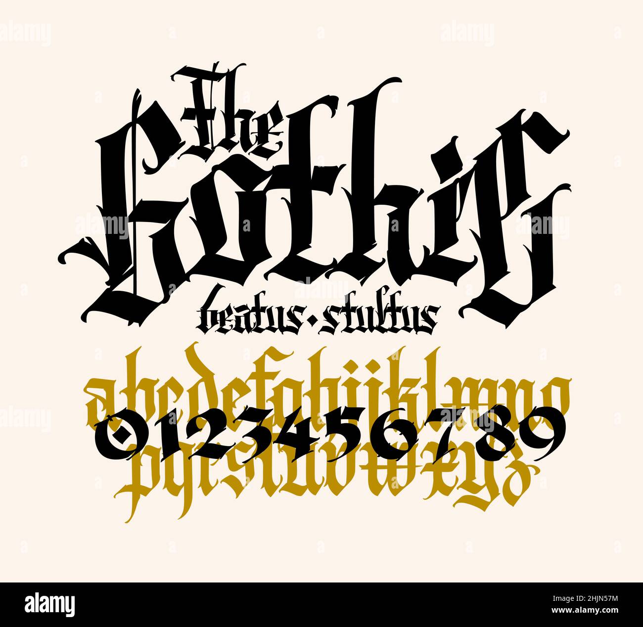 Gothic, English alphabet. Vector. Medieval Latin letters and numbers ...