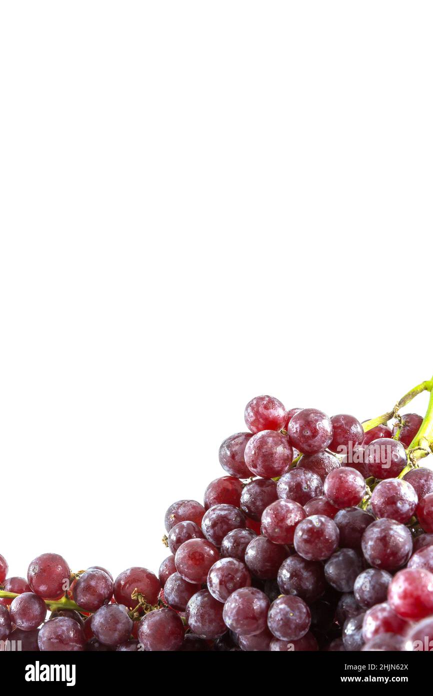 fresh red grape with water drop isolated on white background Stock Photo - Alamy