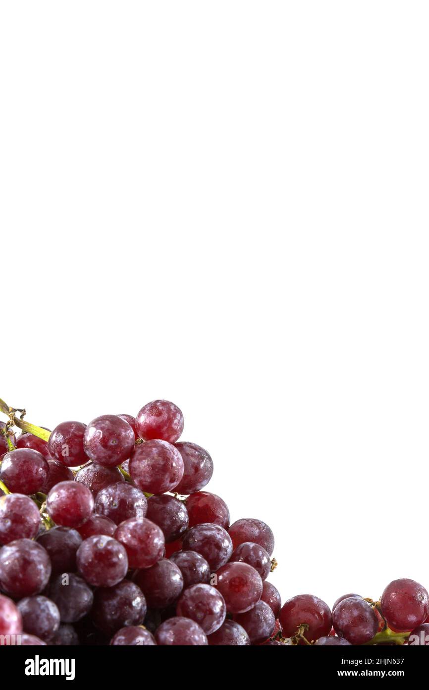 fresh red grape with water drop isolated on white background Stock Photo - Alamy