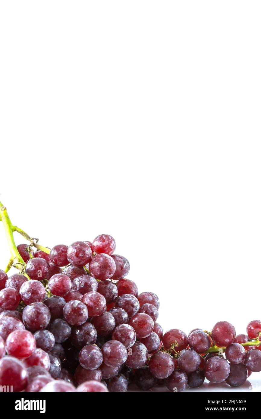 fresh red grape with water drop isolated on white background Stock Photo - Alamy