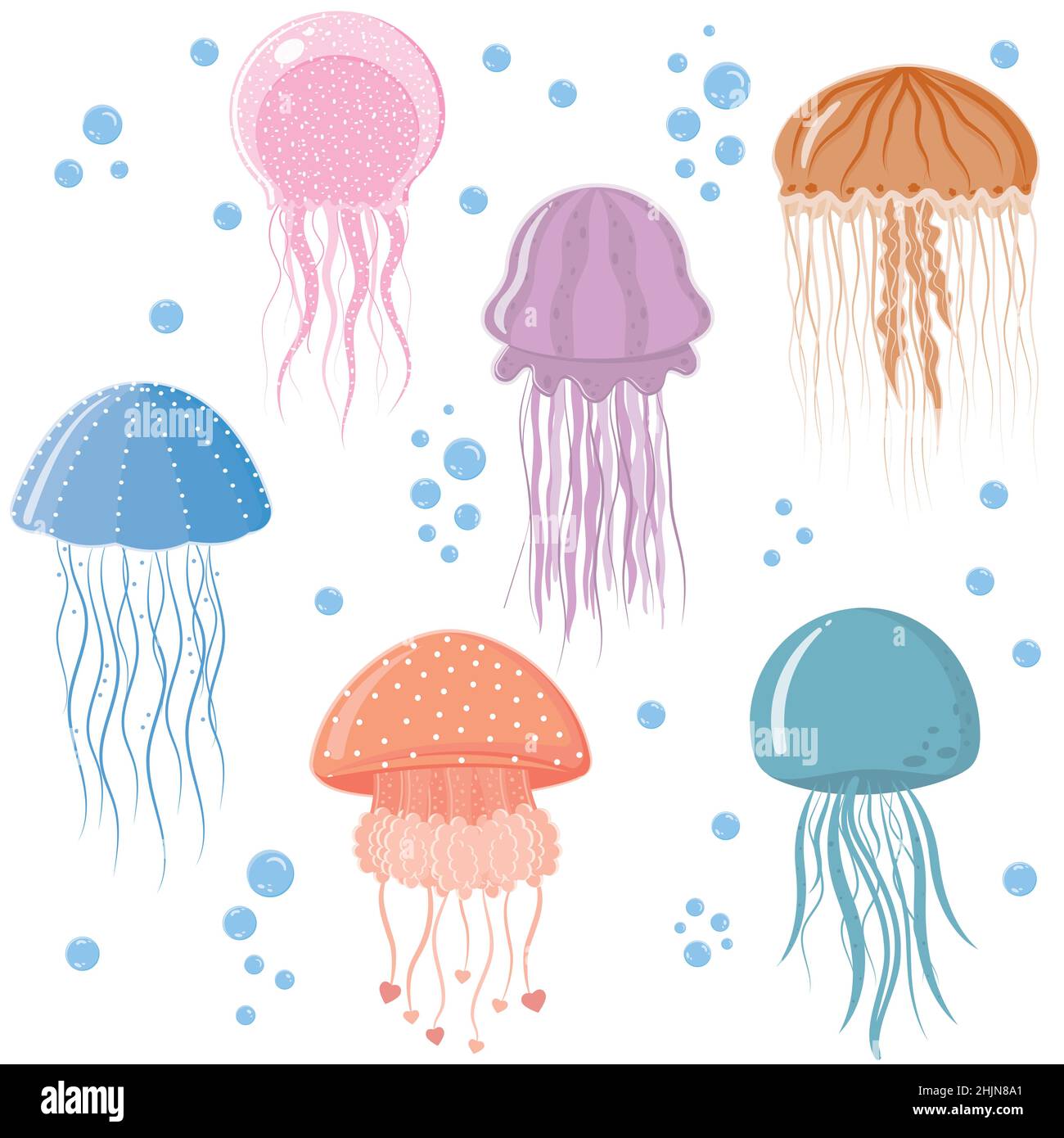jellyfish pattern, color vector illustration on a white background ...