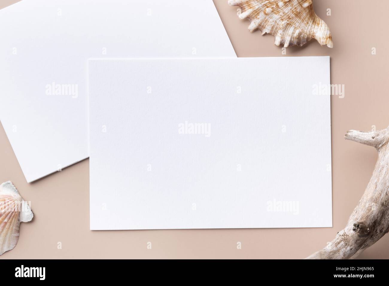 Minimal paper card mockup on beige background with branches and ...