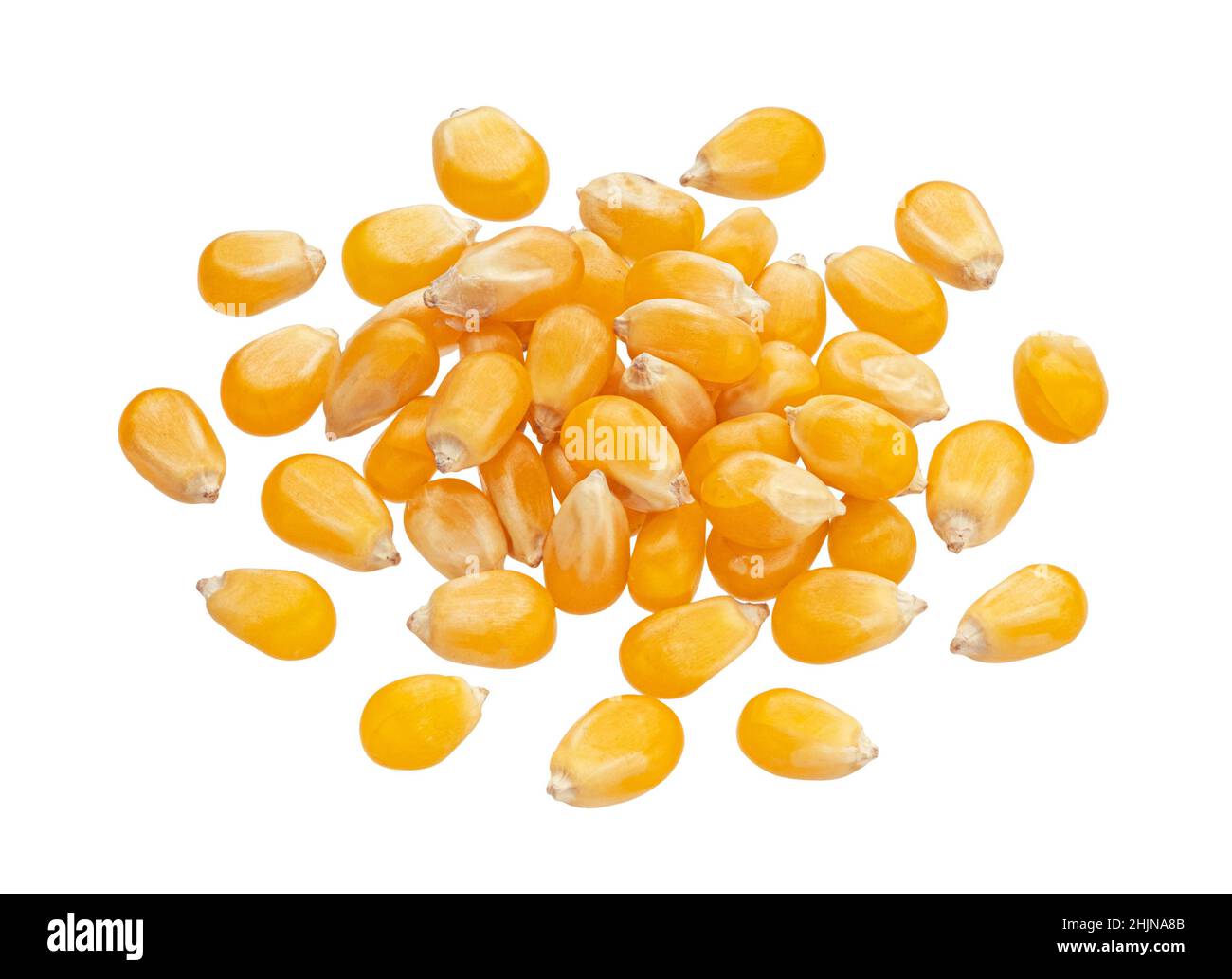 Raw corn grains isolated on white background, dry sweetcorn, top view ...