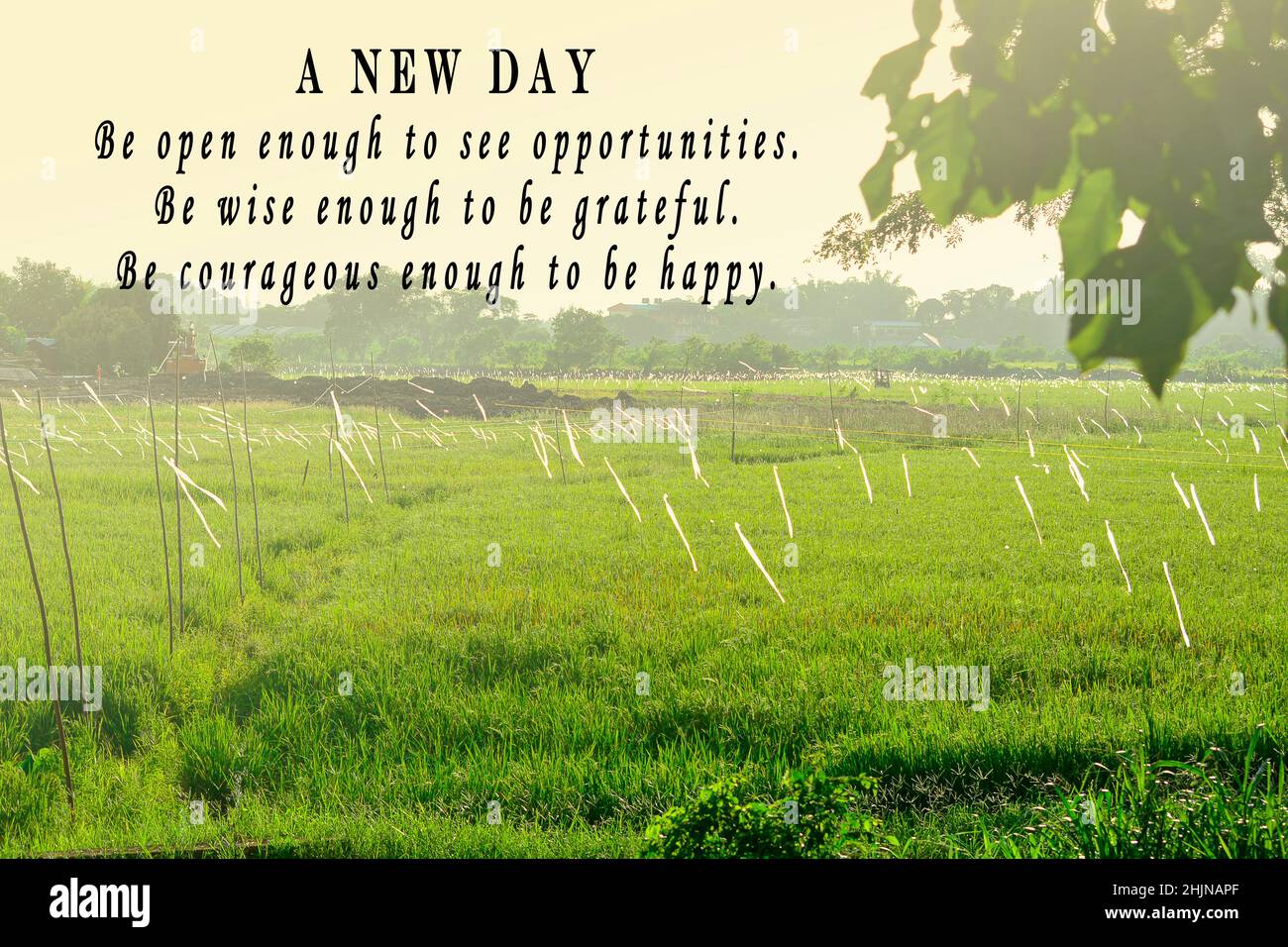 Beautiful Field Quotes Today Is A Perfect Day For A New Beginning.
