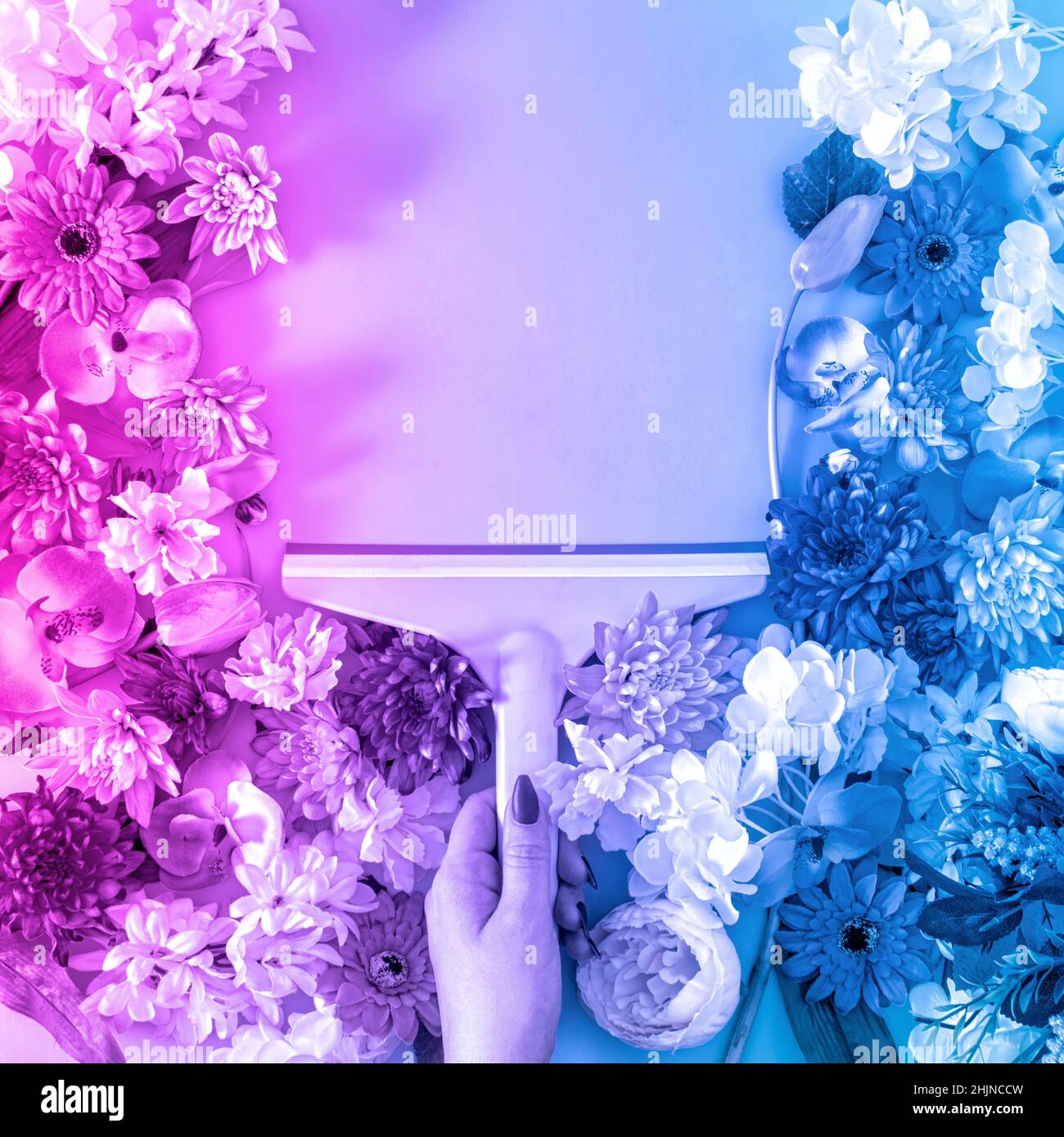 Creative concept of plastic windshield wiper which removes fresh Spring ...