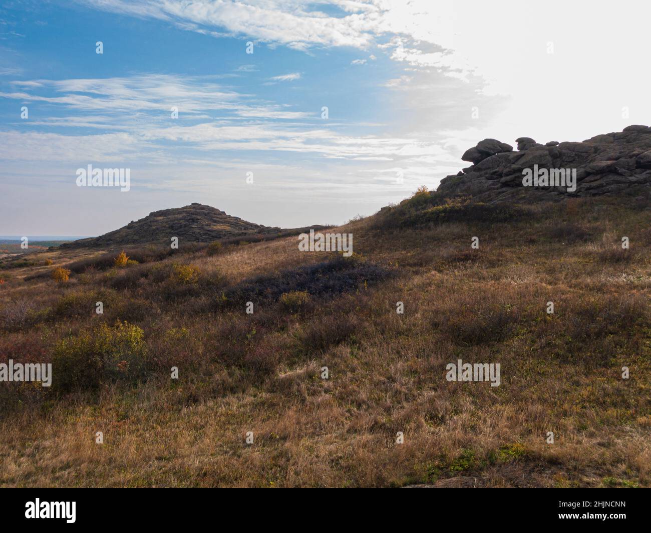 Autumn mountain landscape with red trees wild grass and flying birds in ...