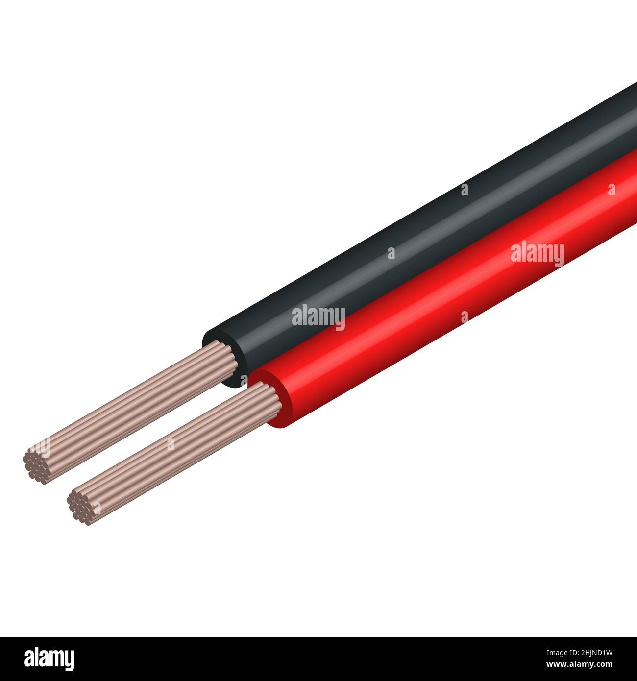 Round cable with two insulated copper conductors. 3D isometric style ...