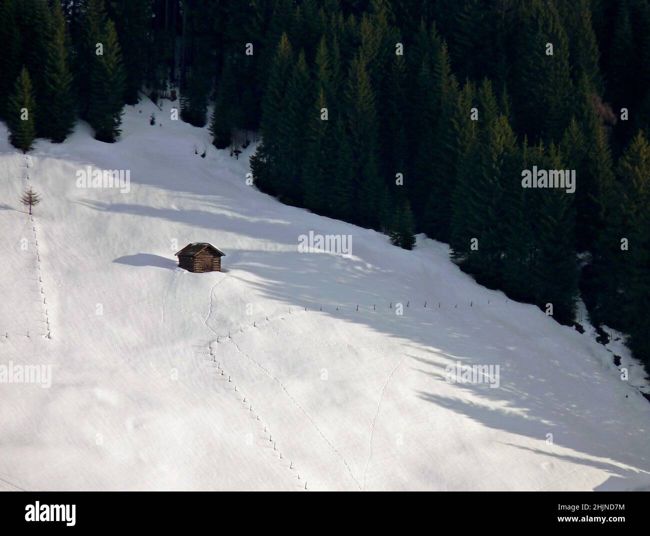 Winter landscape in the Carpathian mountains seen from Cabana Trei ...