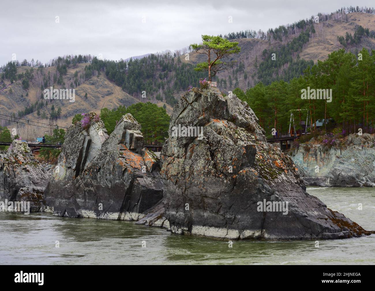 A lone pine tree on top of a sharp cliff in the middle of a mountain ...