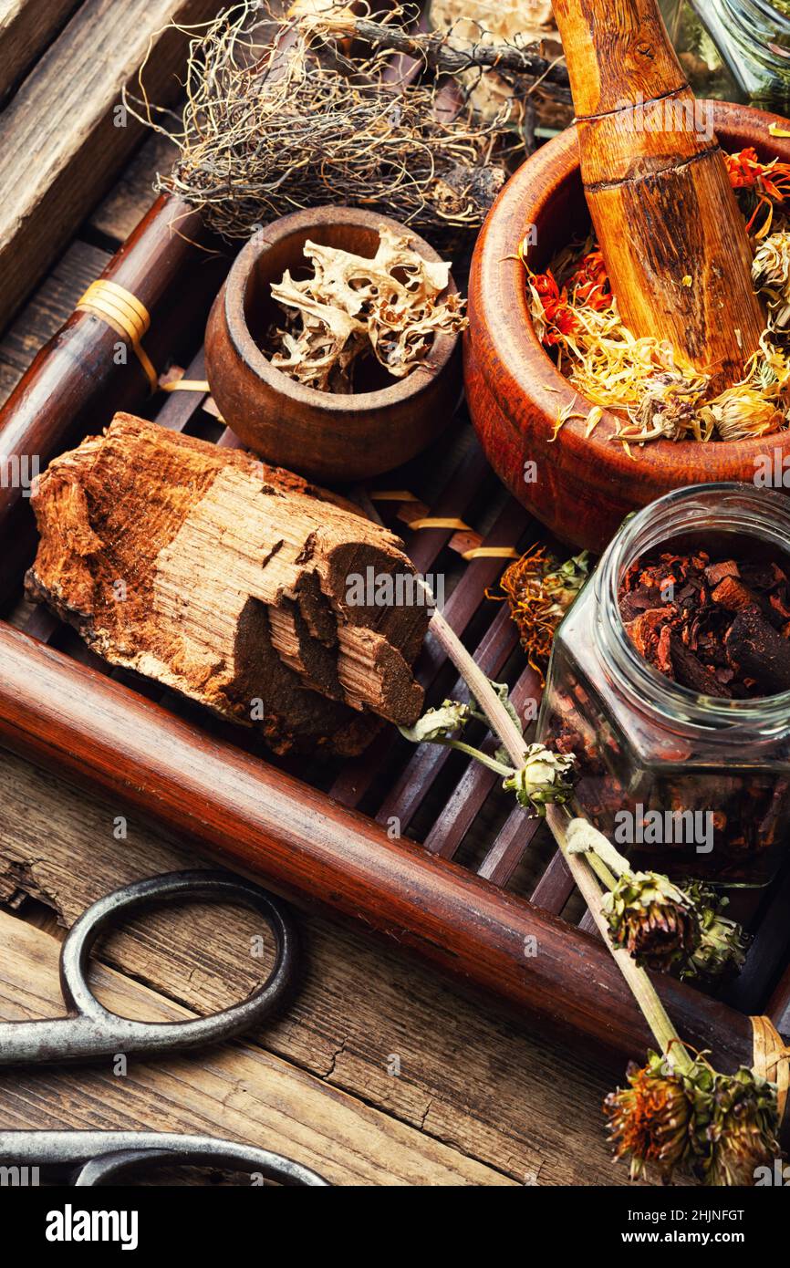 Medical herbs and medicinal plants in a tray Stock Photo - Alamy