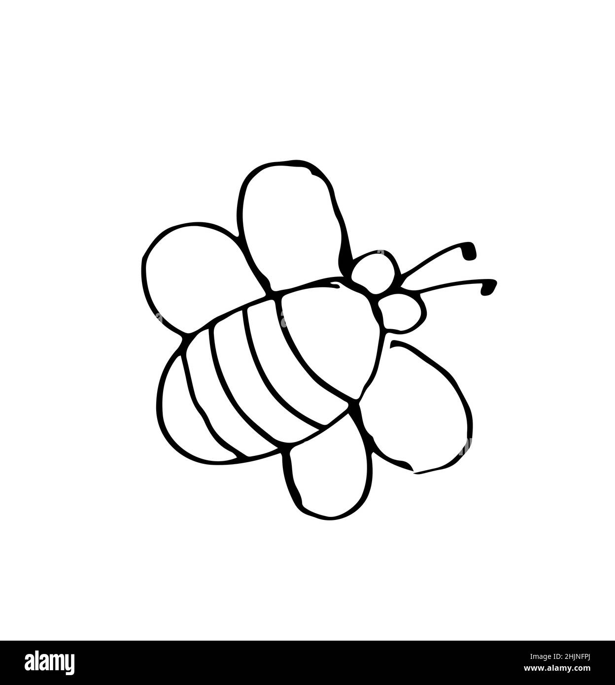 Thick fly. Outline sketch. Funny comical insect. Hand drawing is ...