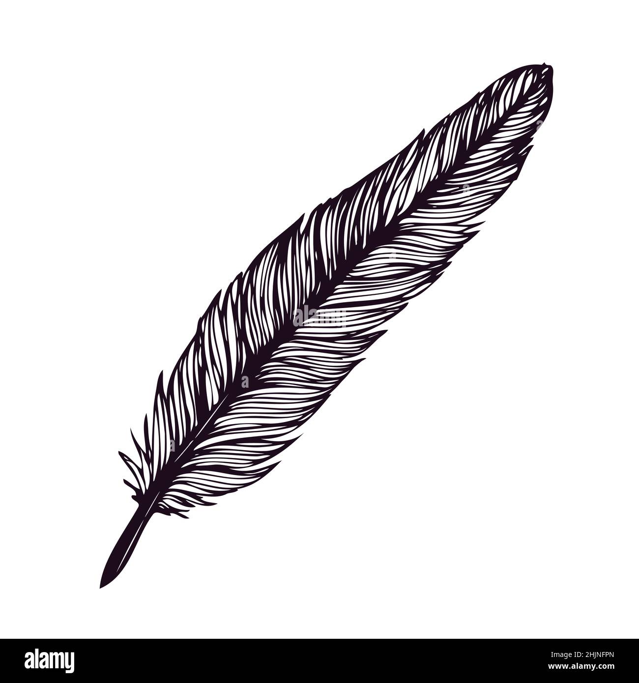 Hand drawn feather isolated on white background Stock Vector Image ...