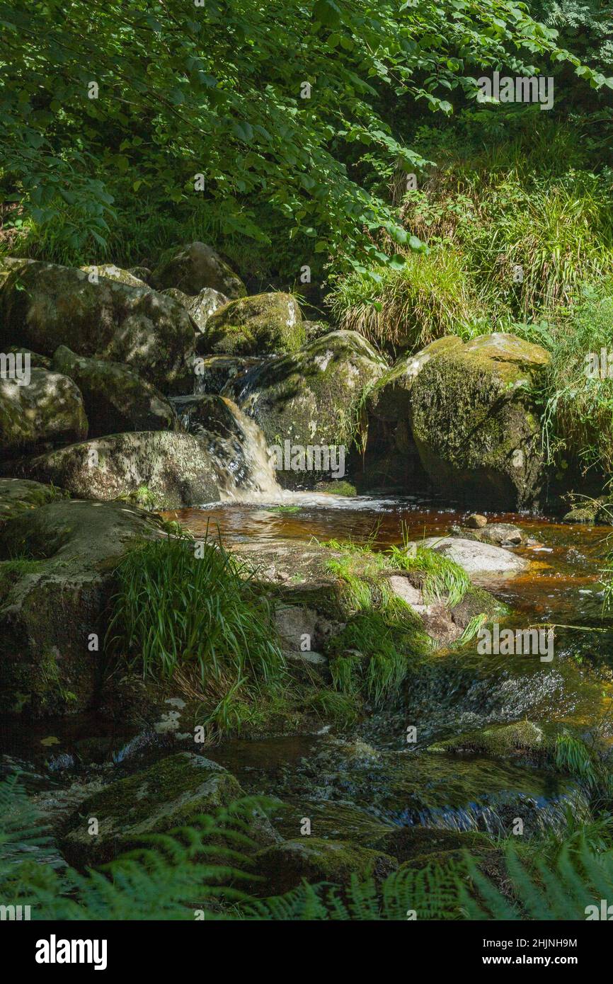 Wicklow Mountains National Park, County Dublin, Ireland, wandering ...