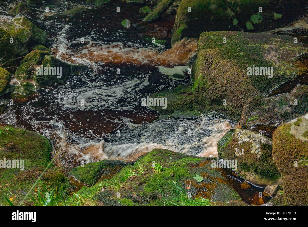 Wicklow Mountains National Park, County Dublin, Ireland, wandering ...