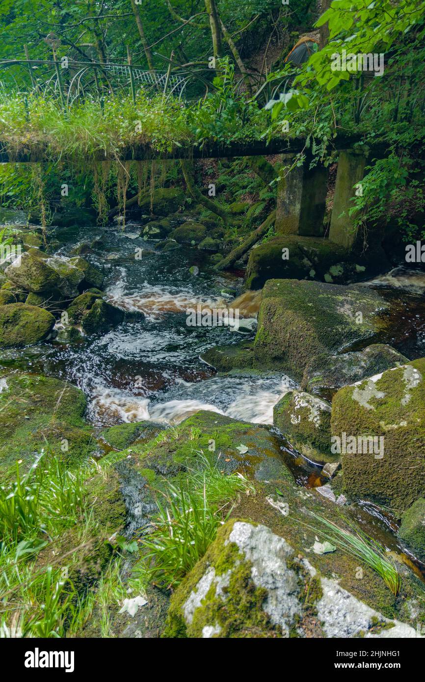 Wicklow Mountains National Park, County Dublin, Ireland, wandering ...