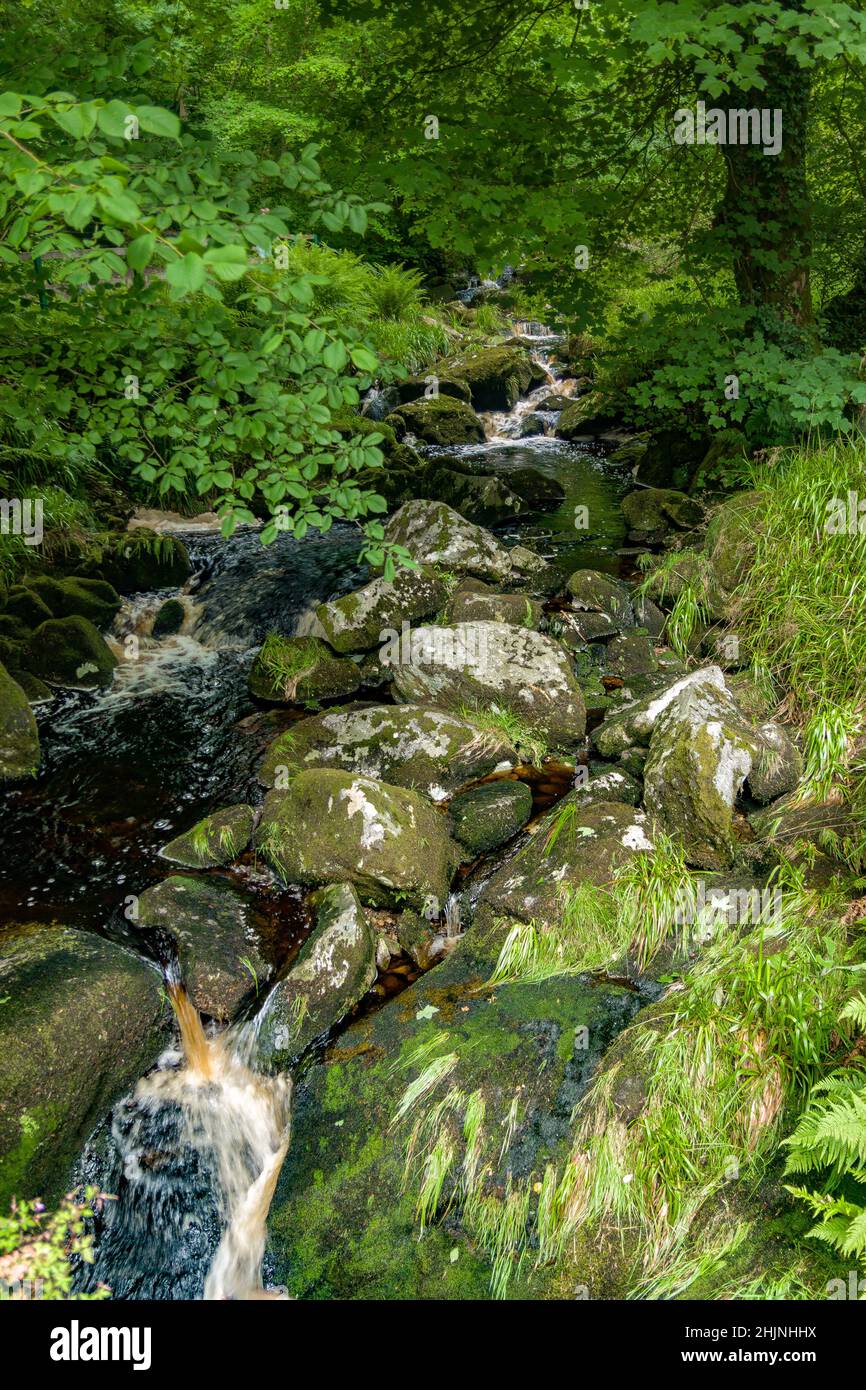 Wicklow Mountains National Park, County Dublin, Ireland, wandering ...