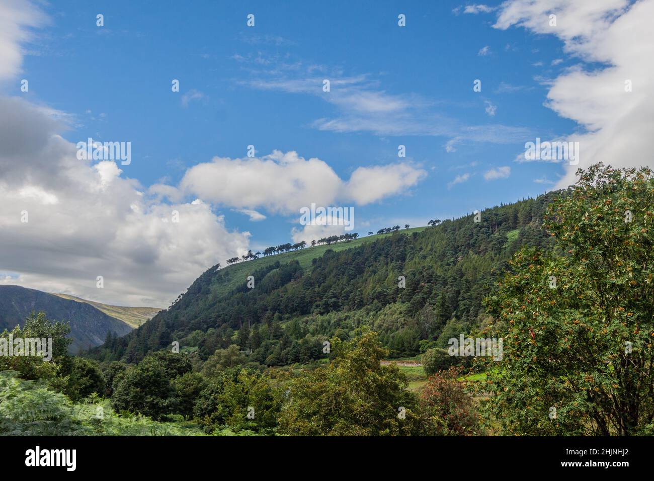 Wicklow Mountains National Park, County Dublin, Ireland, wandering ...