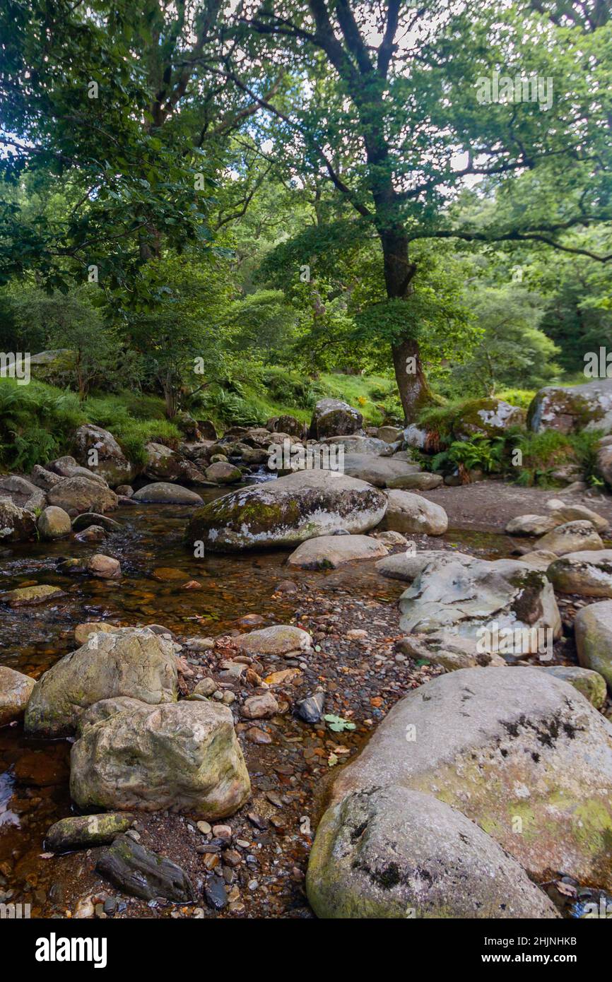 Wicklow Mountains National Park, County Dublin, Ireland, wandering ...