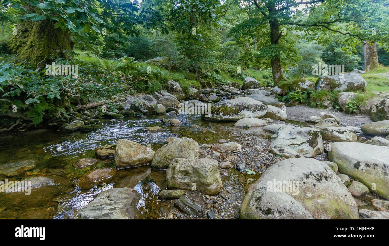 Wicklow Mountains National Park, County Dublin, Ireland, wandering ...