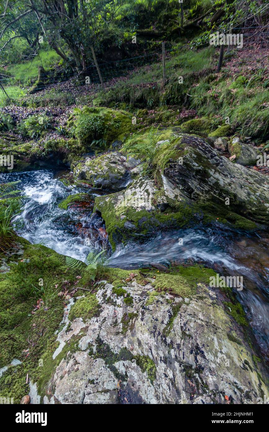 Wicklow Mountains National Park, County Dublin, Ireland, wandering ...