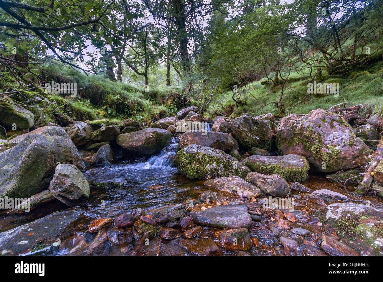 Wicklow Mountains National Park, County Dublin, Ireland, wandering ...